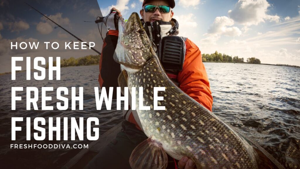 How To Keep Fish Fresh While Fishing 2 Best Methods